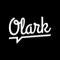 How to Sign In to Olark? | Kopyst